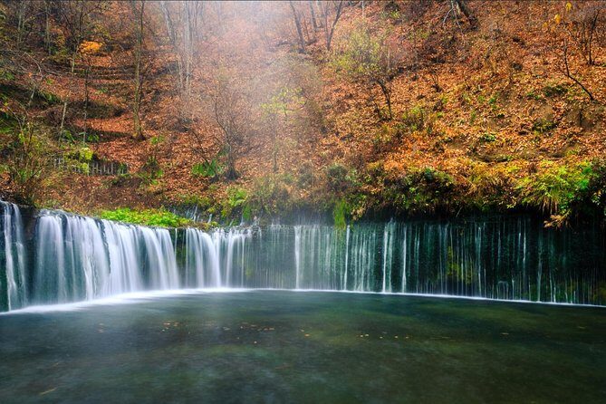 1 Day Family Fun at Fuji with Private Car - Final Thoughts