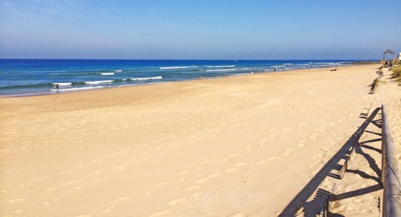 1 Day for Vejer and the South Beaches of Cádiz in SUV (4x4) - What’s Included and Why It Matters
