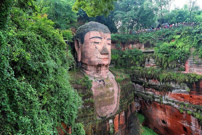 1 day Giant Panda & Leshan Buddha Private Tour - An In-Depth Look at the Tour
