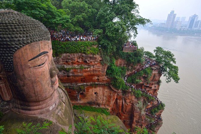 1 day Giant Panda & Leshan Buddha Private Tour - Perfect for Who?