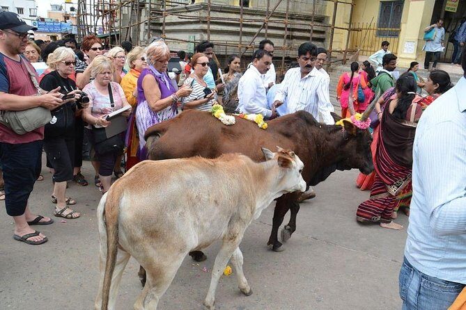 1- Day Golden Triangle Tour to Agra Jaipur from Delhi - Key Points