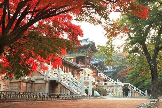 1-DAY Gyeongju UNESCO and Culture tour. - An In-Depth Look at the Gyeongju UNESCO and Culture Tour
