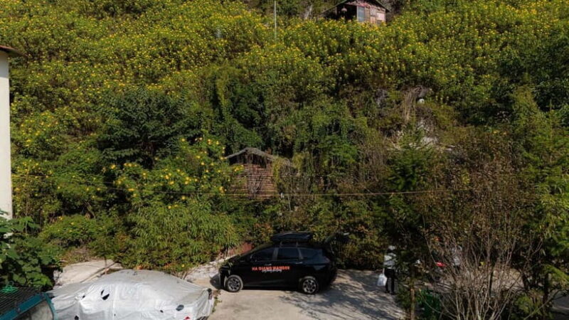 1 Day Ha Giang Loop Tour by Private Car with Ha Giang Looper - Key Points