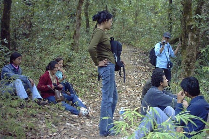 1 day hike to Phulchwoki - An In-Depth Look at the Phulchoki Hike