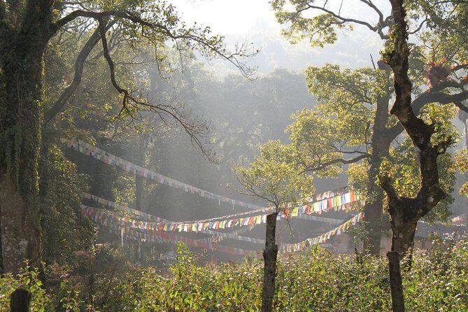 1 day hike to Phulchwoki Hill (Kathmandu Valley) - A Closer Look at the Phulchoki Hill Hike