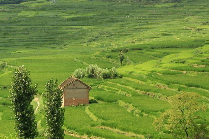 1 day hike to Phulchwoki Hill (Kathmandu Valley) - Is This Tour Right for You?