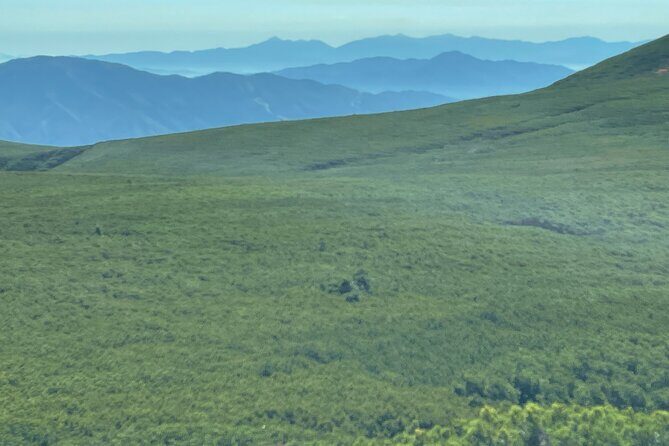 1 Day Hiking Tour in Takayama - What to Consider Before Booking