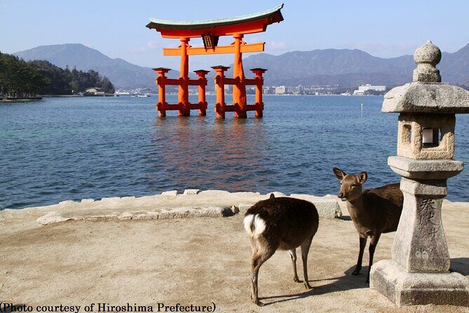 1 Day Hiroshima and Miyajima Bus Tour from Hiroshima - Transportation and Logistics