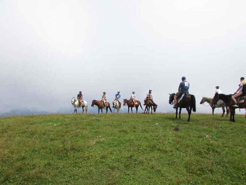 1 Day Horse Riding Adventure in Borjomi Mountains - 1 Day Horse Riding Adventure in Borjomi Mountains