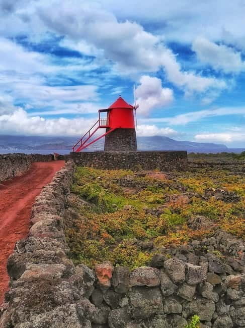 1-day jeep tour on the island of Pico - Azores - FAQs about the Pico Jeep Tour