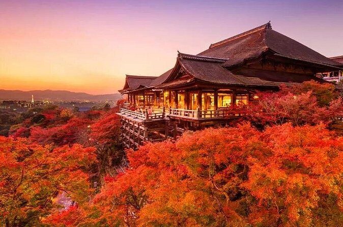 1 Day Kansai Tour from Osaka - Authenticity & Cultural Experience