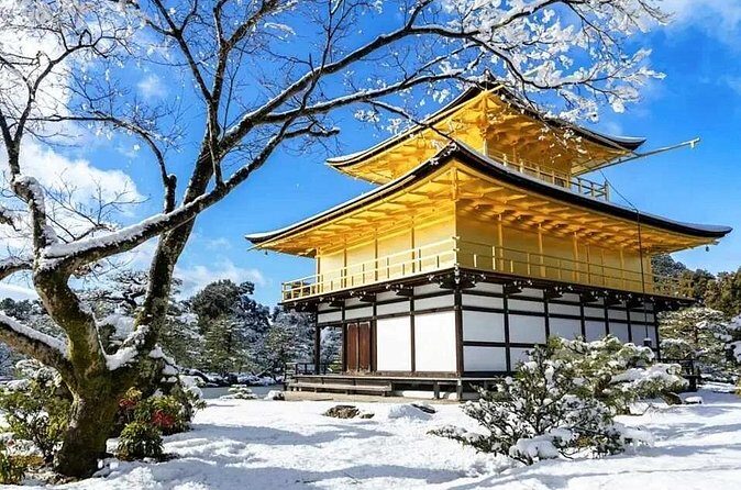 1 Day Kansai Tour from Osaka - Who Should Consider This Tour?