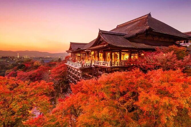 1 Day Kansai Tour from Osaka - FAQ