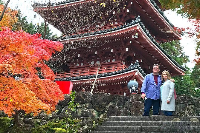 1-Day Kochi Highlights Tour with local guide - Why We Like This Tour: An Honest Look at the Highlights