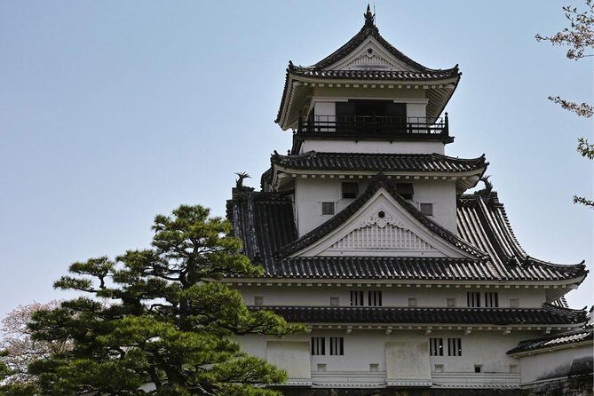 1-Day Kochi Highlights Tour with local guide - Frequently Asked Questions (FAQs)