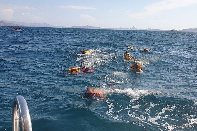 1- day Komodo Island Hopping Tour by Speed Boat departure From Labuan bajo - Authentic Insights from Reviews