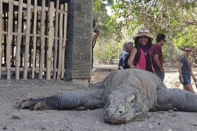1- day Komodo island Tour hopping around by Speed Boat - A Detailed Look at the Itinerary and What You Can Expect