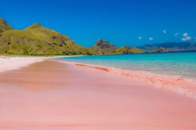 1 Day Komodo Trip by Private Fast Boat - Key Points