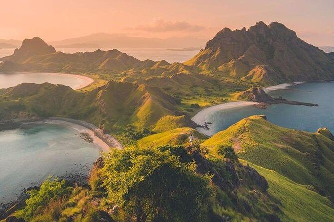 1 Day Komodo Trip by Private Fast Boat - Who Is This Tour For?