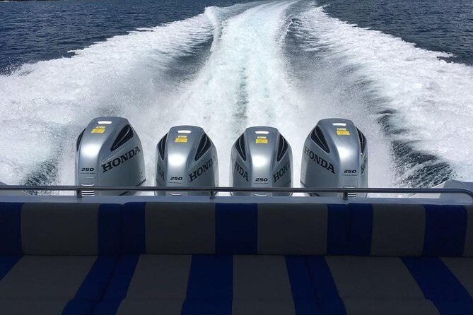 1 Day Komodo Trip By Shared Fast Boat - FAQ
