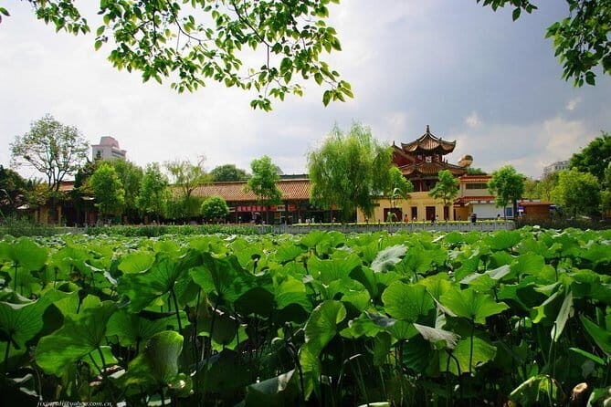 1 day Kunming Highlights Private tour - An Introduction to Kunming’s Top Spots