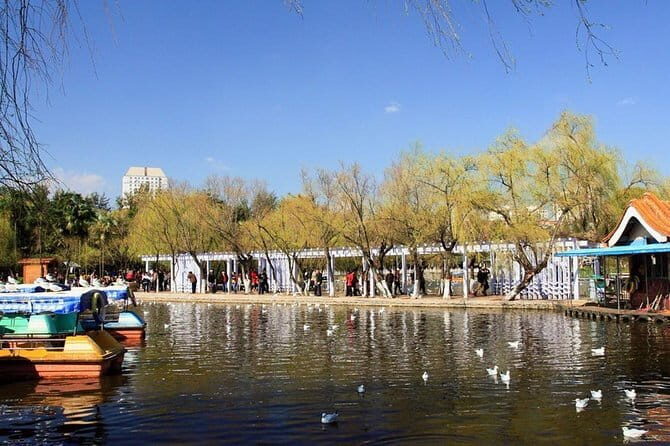 1 day Kunming Highlights Private tour - What Travelers Say