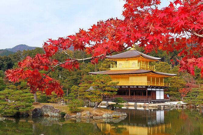 1 Day Kyoto UNESCO World Heritage Sites Bus Tour - Exploring the Itinerary in Detail