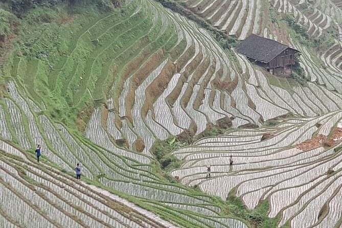1-Day Longji Terrace Fields-Dazhai village Tour with the English Speaking Driver - First Stop: The Awe-Inspiring Longji Rice Terraces