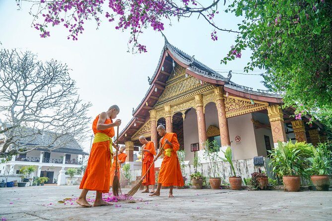 1-Day Luang Prabang: Waterfall,Caves,Mekong,Village-All Inclusive - Key Points