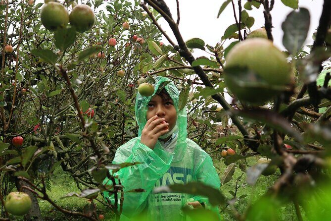 1 Day - Malang Instagramable Tour // 08:00 - 18:00 - Introduction