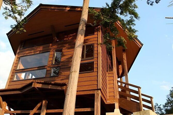 1 Day Matcha Farm Tour with Lunch and Bicycle Rental in Kyoto - Who Would Love This Tour?