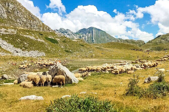 1-Day Montenegro Hiking Tour to Durmitor National Park - Practicalities and What to Expect