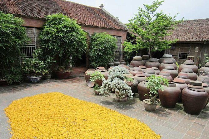 1 day motorbike Ba Vi National Park, Duong Lam ancient village - Final Thoughts