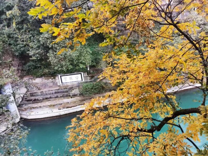 1-Day Mount Qingcheng and Dujiangyan Irrigation System Tour - The Sum Up: A Well-Rounded Cultural Experience