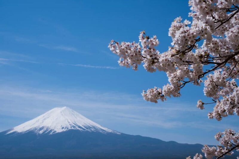 1-Day Mt Fuji and Hakone Sightseeing trip from Tokyo - Final Thoughts: Who It’s Best For