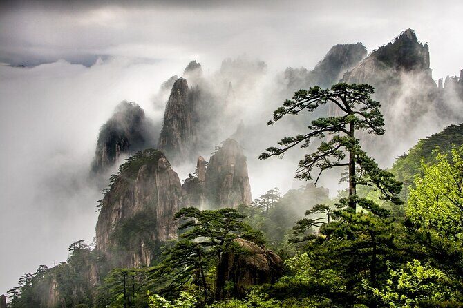 1-Day Mt. Huangshan Tour with Optional Hongcun & Xidi Village - What Makes This Tour Stand Out?