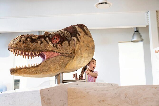 1 Day of Dinosaurs and Hoodoos From Calgary to the Drumheller - The Journey Back and Overall Value