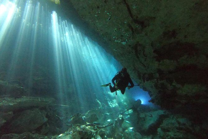 1 day of diving in Cenotes price for 2 certified divers - Introduction: Why Cenote Diving Near Playa del Carmen Is Special