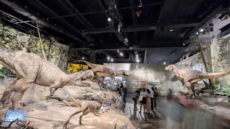 1 Day of Drumheller Dinosaurs and Badlands Guided Tour - An In-Depth Look at the Tour Experience