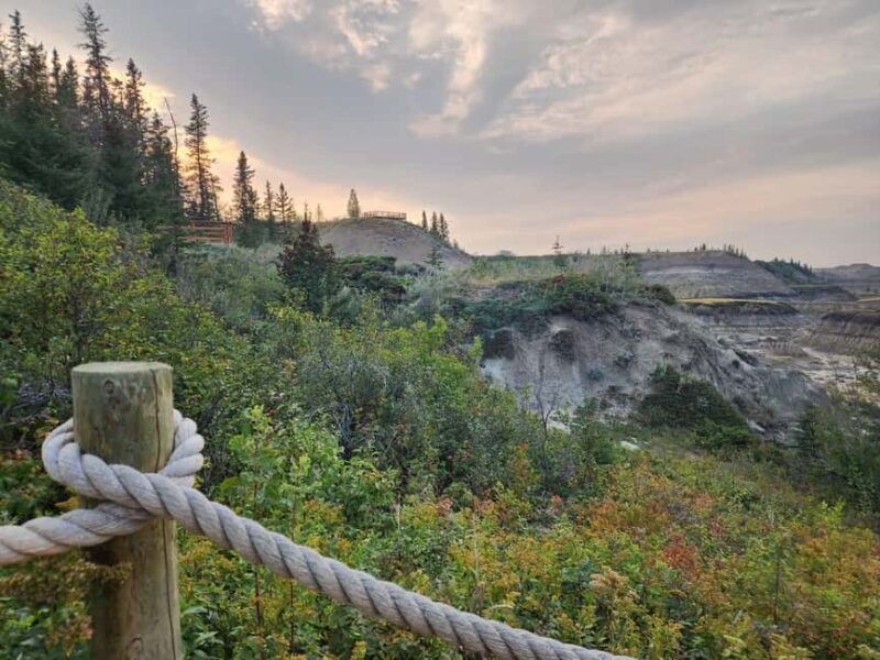 1 Day of Drumheller Dinosaurs and Badlands Guided Tour - Authentic Feedback from Travelers