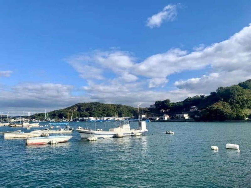 1-Day Onomichi & Ikuchijima Island: Temples, Ropeway & Ferry - Key Points