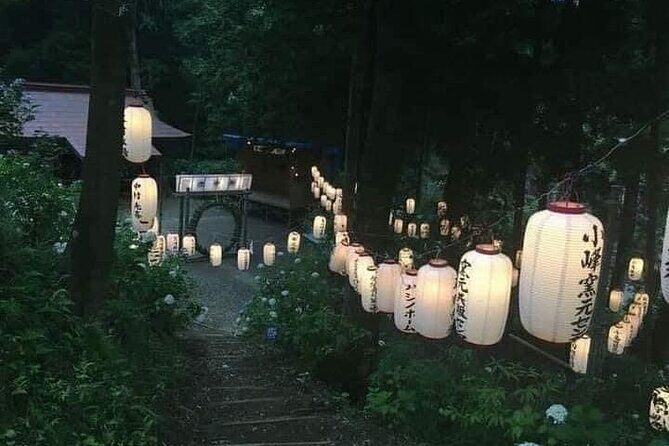 1 Day Osaka Private Tour with English Speaking Guide - Osaka in a Day: A Practical and Lively Tour for Time-Conscious Travelers