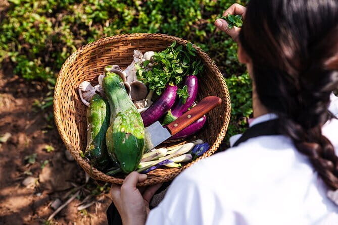 1 Day Pak Ou Caves, Kuang Si Waterfalls and Local Villages - Final Thoughts