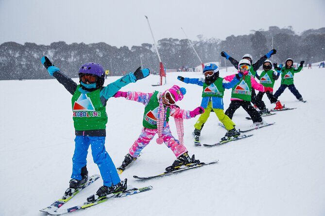1 Day Perisher Snow Tour - Key Points