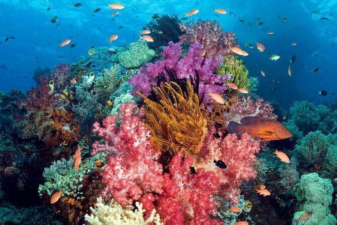 1 Day Phu Quoc Boat Trip with Three Islands - What We Love About This Tour