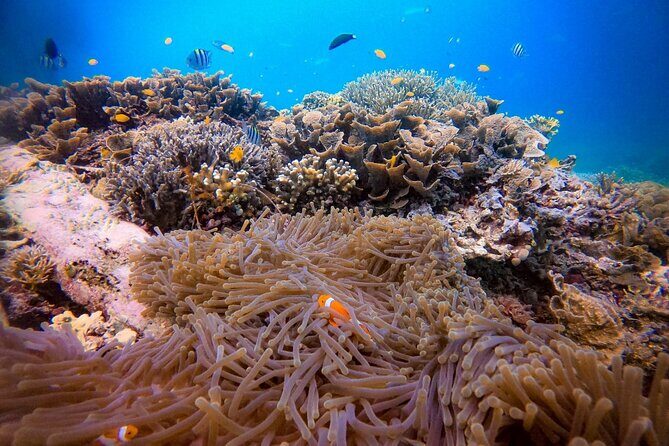 1-day Piaynemo Raja Ampat Tour hopping Island depart from sorong - Piaynemo: The Instagram-Worthy Overlook