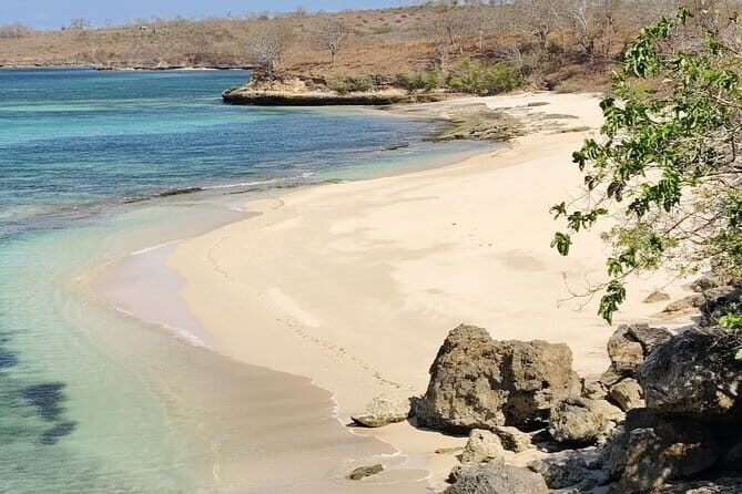 1 Day Pink Beach Tour in East Lombok - Key Points