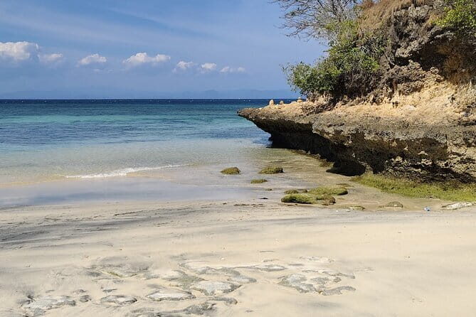 1 Day Pink Beach Tour in East Lombok - The Journey Begins: Pickup and Tanjung Luar Fish Market