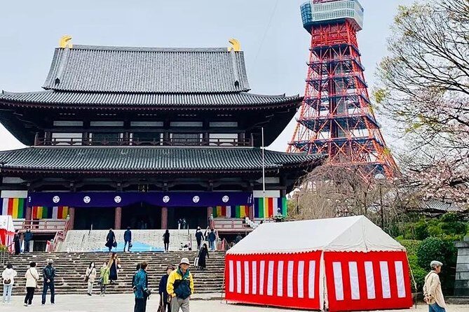 1 Day Private Charter Tokyo Sight Seeing green number plate - Who Will Get the Most Out of This Tour?