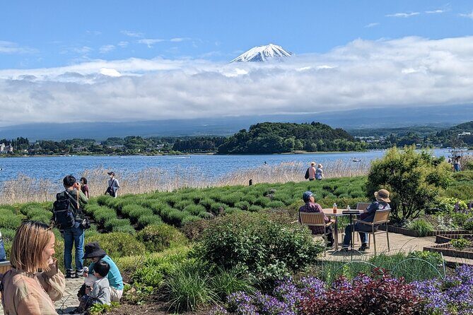 1 Day Private Mt Fuji & Lake Kawaguchiko English Speaking Driver - The Itinerary in Detail